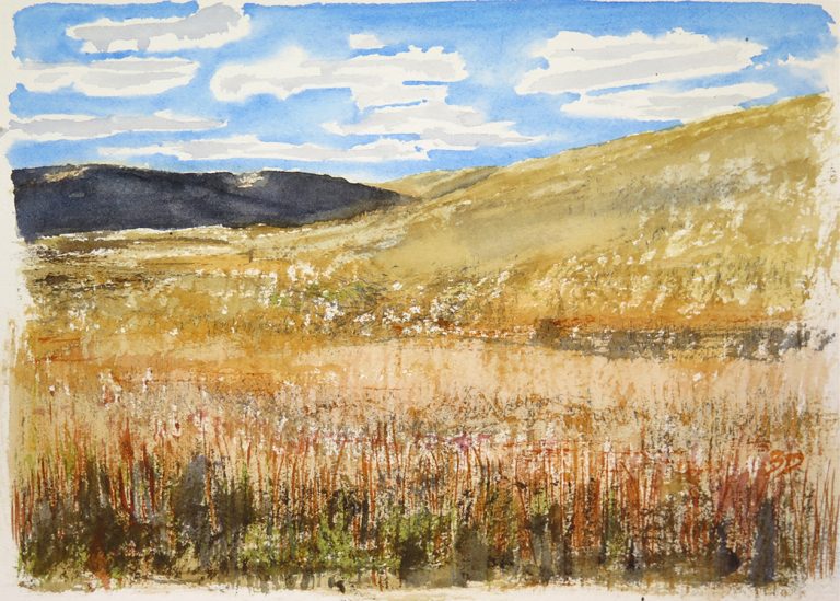 Ben Darling | Impact Nebraska Artists